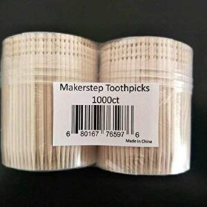 Makerstep 1000 Wooden Toothpicks Ornate Handle in Toothpicks Holder Container 2 Packs of 500, Good for Party, Cleaning Teeth, Appetizer.