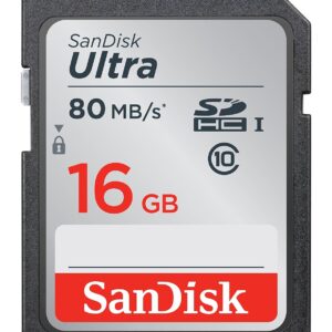 SanDisk Ultra 16GB (10 Pack) Class 10 SDHC Genuine Flash Memory Card (SDSDUNC-016G-GN6IN) Bundle with Everything But Stromboli Card Reader