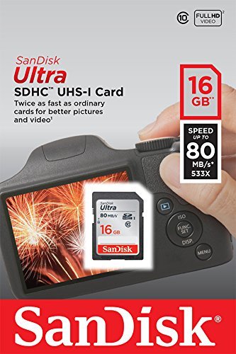 SanDisk Ultra 16GB (10 Pack) Class 10 SDHC Genuine Flash Memory Card (SDSDUNC-016G-GN6IN) Bundle with Everything But Stromboli Card Reader