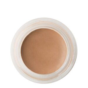 juice beauty phyto-pigments perfecting concealer cream, 5.5g