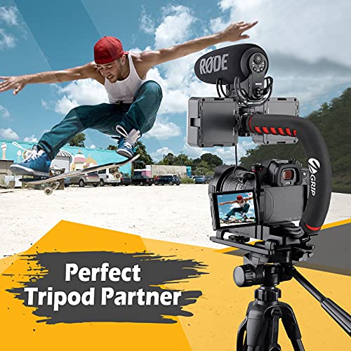 Zeadio Video Handheld Stabilizer, Triple Cold-Shoe Handle Grip with Smartphone Holder、360° Ball Head Mount and Quick Release Plate Adapter, Compatible with All Camera Action Camera DSLR Smartphone