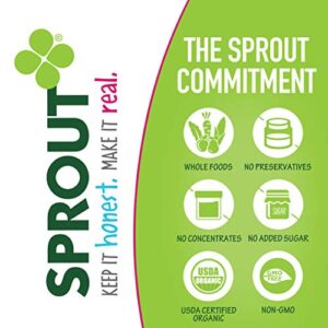 Sprout Organic Baby Food, Stage 2 Pouches, Fruit Veggie & Grain Blend, Mixed Berry Oatmeal, 3.5 Oz Purees (Pack of 6)