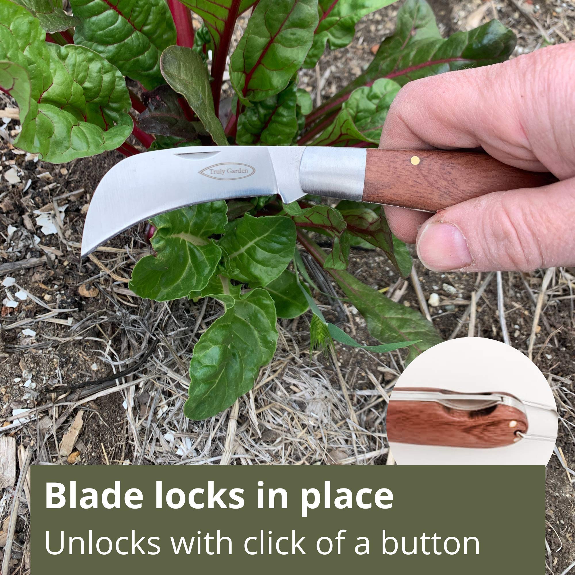 Folding Garden Knife. This Hawkbill Blade is Curved Making it Great for Hundreds of Uses. Not Just a Great Gift for a Gardener.