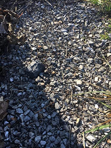 Hide A Key in Plain Sight in a Real Looking Rock/Stone, Holds Standard Sized Spare Keys