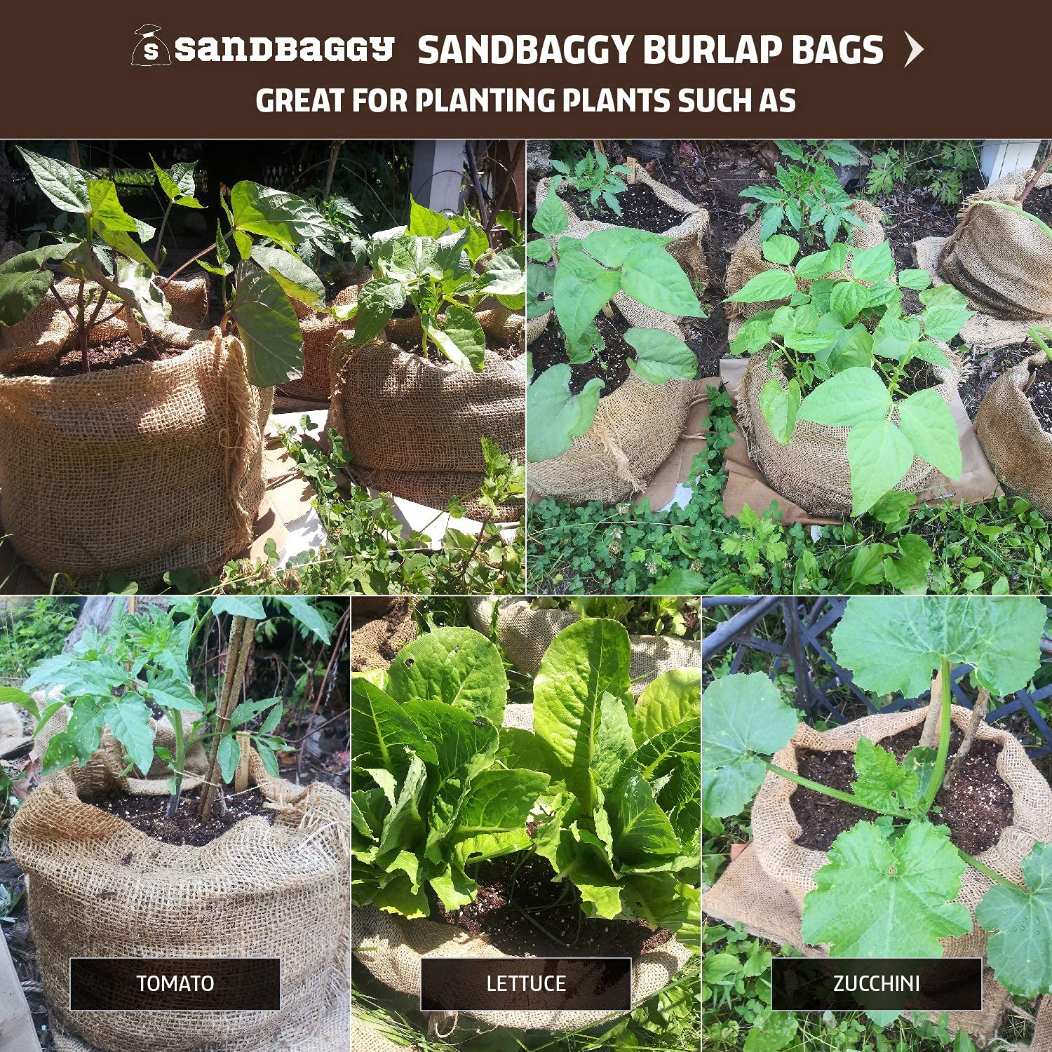 Burlap Bags for Vegetables & Gardening, 22" X 36"- Burlap Sacks Perfect for Kids - Plant Covers - Holds Up to 50lbs - Food Grade (Pack of 10)