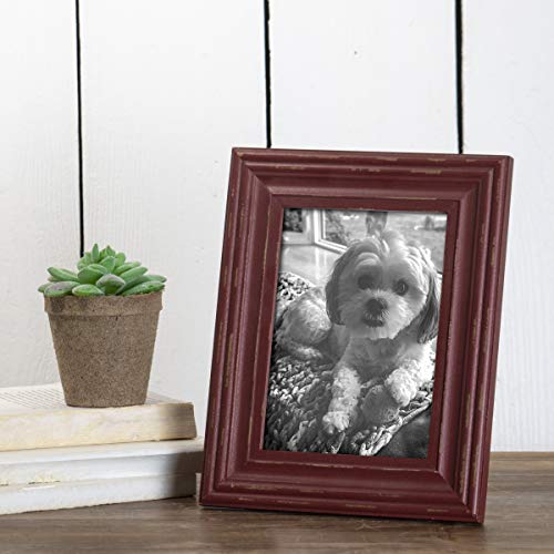 Foreside Home & Garden FFRD06235 5X7 Dalton Photo Frame Red