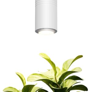 Aspect Large White Luxury LED Grow Light – for Medium and Large Plants