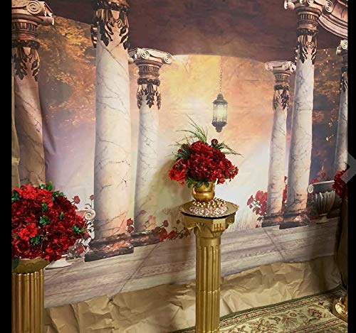 AOFOTO 5x5ft Romantic Wedding Royal Gazebo Background Classic Gloriette Photography Backdrop Vintage Garden Pavilion Retro Columns Photo Studio Props Lovers Girl Artistic Portrait Vinyl Wallpaper