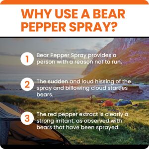 UDAP Pepper Power Bear Spray Self Defense Deterrent with Griz Guard Holster for Camping, Hiking, Fishing, Powerful Blast Pattern, 30 ft Fog Barrier, Safety Orange, SOG2, 7.9 oz, 2 Pack