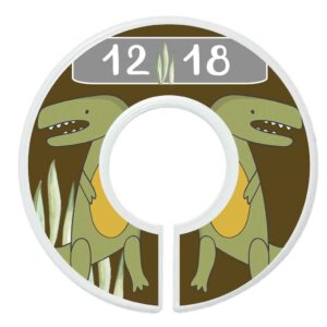 Mumsy Goose Baby Boy Clothes Dividers Nursery Closet Dividers Dinosaurs