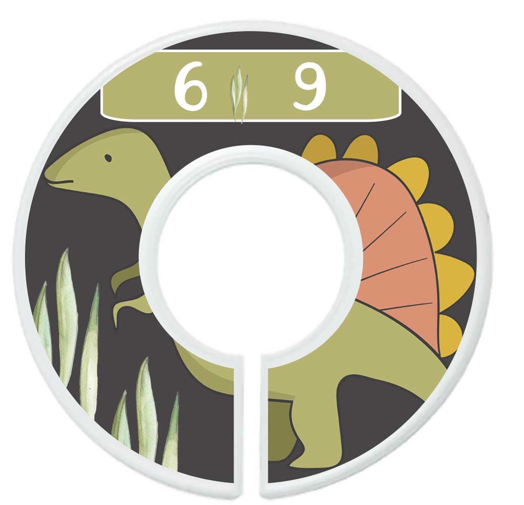 Mumsy Goose Baby Boy Clothes Dividers Nursery Closet Dividers Dinosaurs