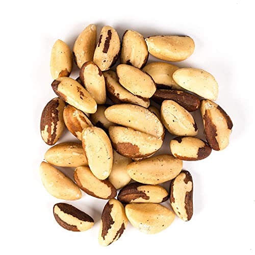 Jaybee's Roasted Salted Brazil Nuts - (32 oz) Great for Daily Use, Baking, Cooking and Gift Giving - Reusable Container - Kosher - Vegan, Paleo, Keto Friendly Healthy Snack