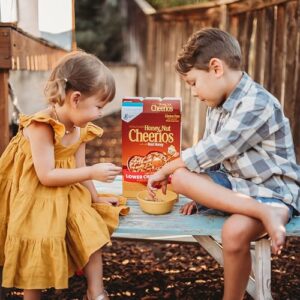 Cheerios Honey Nut Cheerios Heart Healthy Breakfast Cereal, Gluten Free Cereal With Whole Grain Oats, 10.8oz