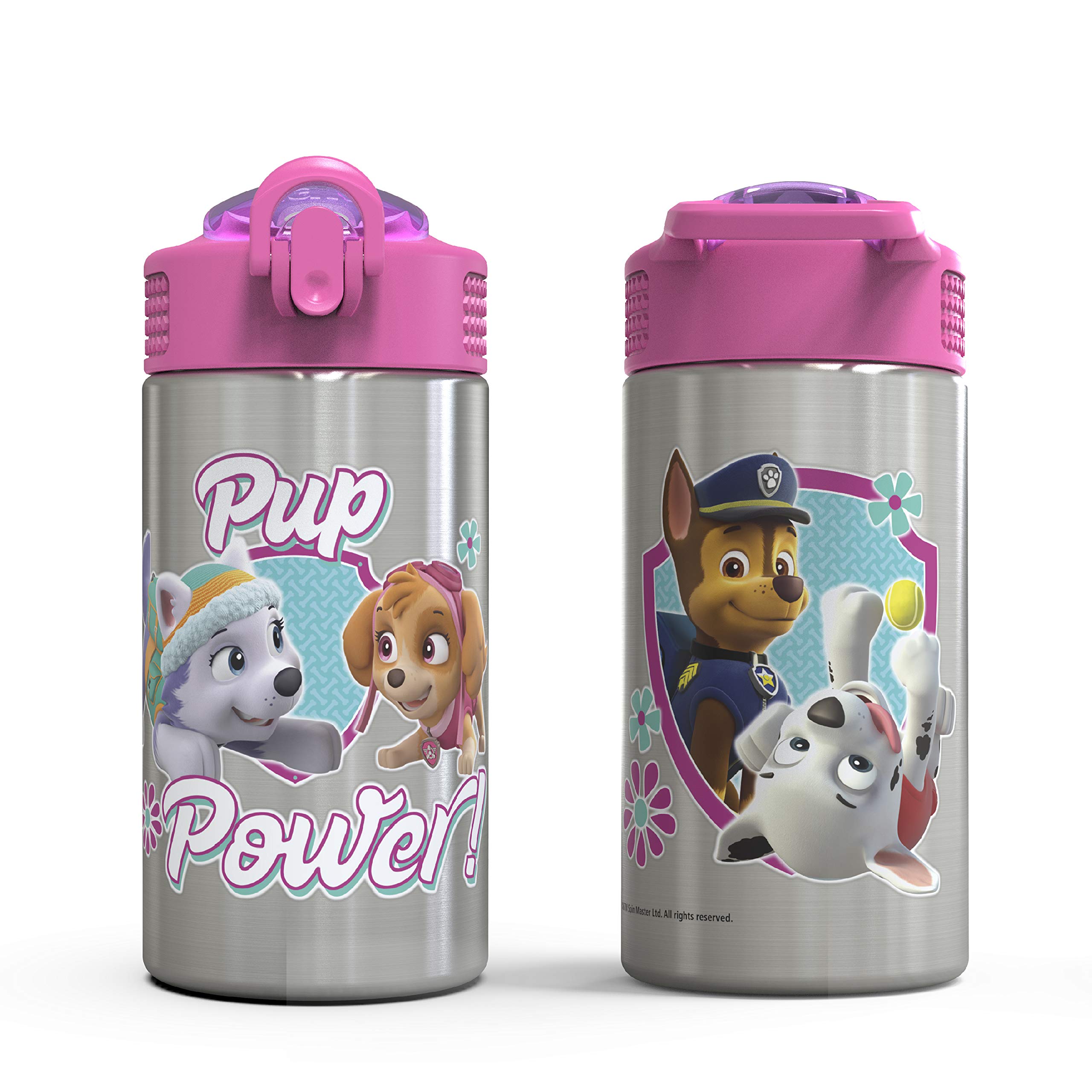 Zak Designs Paw Patrol Skye - Stainless Steel Water Bottle with One Hand Operation Action Lid and Built-in Carrying Loop, Straw Spout is Perfect for Kids (15.5 oz, BPA-Free)