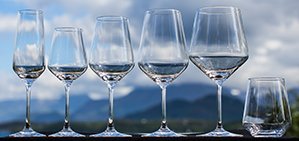 Harmony Wine Glasses by Rastal, 14 ounce, great option for wine, craft beer or water, Set of 6 (Stemless)