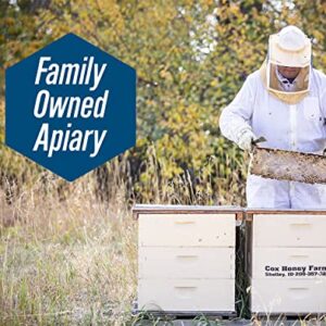 Cox's Honey 100% Pure, Raw Unfiltered Clover Honey, Rich in Nutrients, Family Owned Apiary, 5 lbs Jug