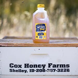 Cox's Honey 100% Pure, Raw Unfiltered Clover Honey, Rich in Nutrients, Family Owned Apiary, 5 lbs Jug