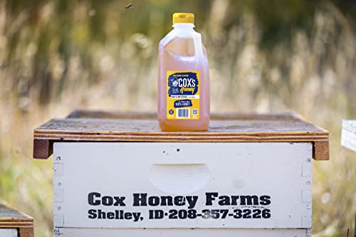 Cox's Honey 100% Pure, Raw Unfiltered Clover Honey, Rich in Nutrients, Family Owned Apiary, 5 lbs Jug