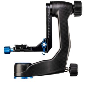 Benro Carbon Fiber Gimbal Head with PL100LW Plate (GH5C)