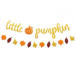 glitter little pumpkin banner fall baby shower gender reveal birthday party for kid's birthday party decor autumn thanksgiving little pumpkin baby shower decorations