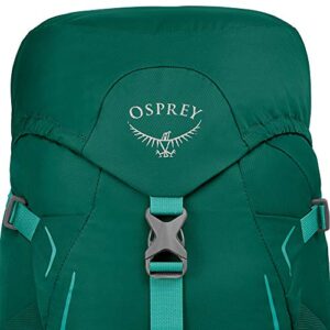 Osprey Hikelite 32 Hiking Backpack, Multi, O/S