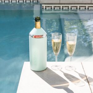 Vinglacé Wine Bottle Chiller- Portable Champagne Insulator- Stainless Steel Wine Cooler Sleeve, Sea Glass