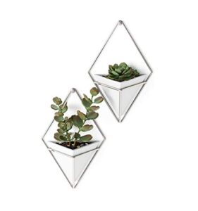 umbra trigg small wall display, white-nickel, planter pot, indoor outdoor usage