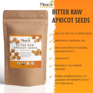 Bitter Apricot Seeds/Kernels, California USA Grown, Non GMO, Vegan, Raw & Large, The Best Natural Source of Vitamin B17, In a Resealable Pouch (1LB)