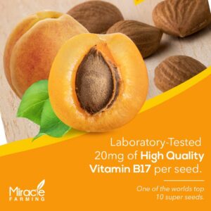 Bitter Apricot Seeds/Kernels, California USA Grown, Non GMO, Vegan, Raw & Large, The Best Natural Source of Vitamin B17, In a Resealable Pouch (1LB)