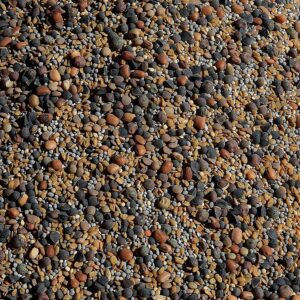 No-Till Cover Crop 13-Seed Mix (1 lb. Bag): [50% Clovers Plus Fenugreek, Vetch, Flax, Cowpeas, Buckwheat, Forage Peas, Millet, Lentils, Crimson Clover, Sweet Yellow, White Clover, Medium Red Clover]