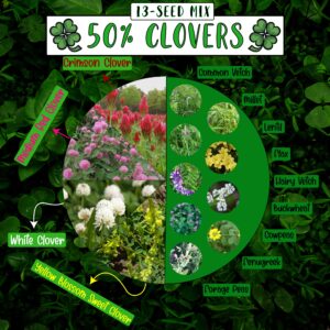 No-Till Cover Crop 13-Seed Mix (1 lb. Bag): [50% Clovers Plus Fenugreek, Vetch, Flax, Cowpeas, Buckwheat, Forage Peas, Millet, Lentils, Crimson Clover, Sweet Yellow, White Clover, Medium Red Clover]