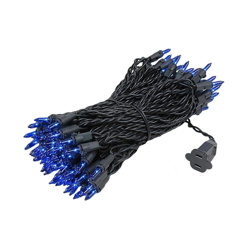 Novelty Lights 100 Light Blue Christmas Mini String Light Set, Black Wire, Indoor/Outdoor UL Listed, 50' Long