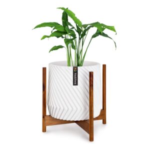 fox & fern mid century modern plant stand, plant stand indoor, indoor plant stand, plant stands for indoor plants, plant holder, corner plant stand - excluding plant pot - acacia wood - fits 15" pot