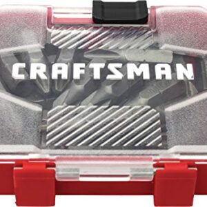 CRAFTSMAN Phillips Screwdriver Bit Set, 1-Inch, 30-Piece (CMAF121PH230)