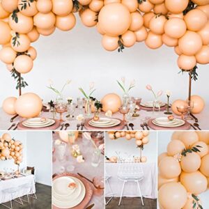 PartyWoo Peach Balloons, 50 pcs 10 Inch Light Peach Balloons, Peach Latex Balloons for Balloon Garland or Balloon Arch as Party Decorations, Birthday Decorations, Baby Shower Decorations, Peach-Q12