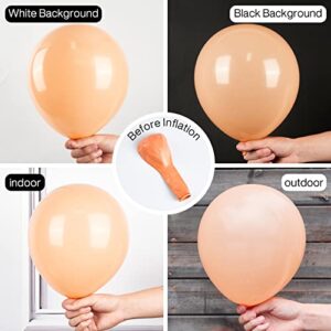 PartyWoo Peach Balloons, 50 pcs 10 Inch Light Peach Balloons, Peach Latex Balloons for Balloon Garland or Balloon Arch as Party Decorations, Birthday Decorations, Baby Shower Decorations, Peach-Q12