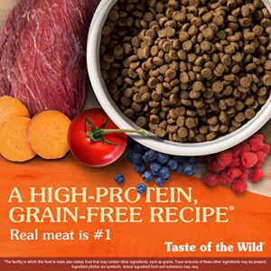 Taste of the Wild High Prairie Grain-Free Dry Dog Food with Roasted Bison and Venison for Puppies 28lb