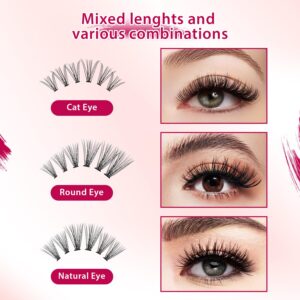 Bodermincer 240pcs C Curl 10D/20D Cluster Eyelashes 8/9/10/11/12mm and Under Eyelashes Mixed Professional Makeup Individual Cluster Eye Lashes (8/9/10/11/12mm and Under Eyelashes)