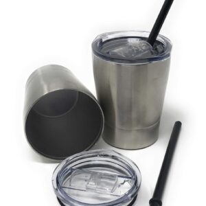 UpPeak 8.5 oz. Stainless Steel Cups with Clear Lids and Plastic Straws, 2 Pack, Double Walled Insulated for Hot and Cold Drinks, Travel Tumblers for Coffee, Cold Brew, Water or Smoothies