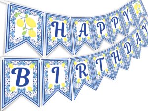 capri lemon happy birthday banner - 40th 50th 60th birthday party supplies - lemon birthday party decorations - lemon birthday party supplies- banner (capri lemon birthday banner) (capri lemon