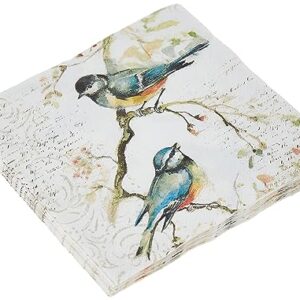 Boston International C811100 IHR Cocktail Beverage Paper Napkins, 5 x 5-Inches, Happy Little Titmice