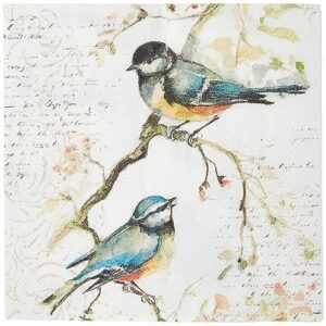 Boston International C811100 IHR Cocktail Beverage Paper Napkins, 5 x 5-Inches, Happy Little Titmice