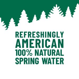 ORIGIN, 100% Natural Spring Water, 900 mL, Recycled Plastic Bottle, 30.4 Fl Oz (Pack of 12)