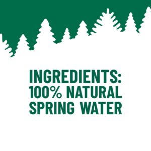 ORIGIN, 100% Natural Spring Water, 900 mL, Recycled Plastic Bottle, 30.4 Fl Oz (Pack of 12)