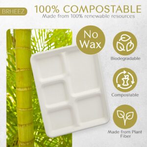 brheez Eco-Friendly 6 Compartment 8.5”x12.5” Disposable School Tray - Made from Bagasse Sugar Cane Fiber - Biodegradable, Compostable & Chemical Free - Pack of 50