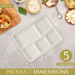 brheez Eco-Friendly 6 Compartment 8.5”x12.5” Disposable School Tray - Made from Bagasse Sugar Cane Fiber - Biodegradable, Compostable & Chemical Free - Pack of 50