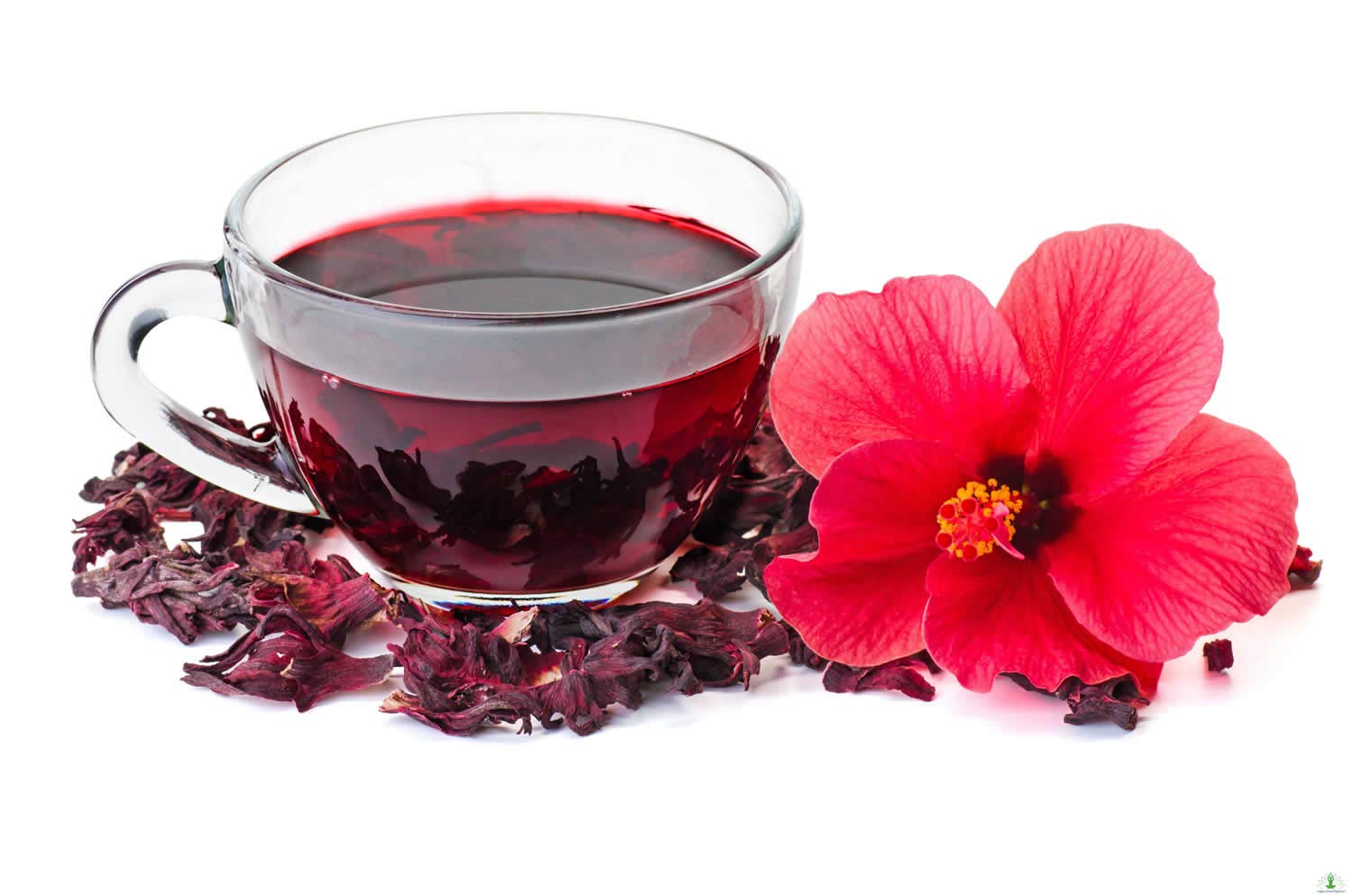 Hibiscus Flowers - 100% Natural - 1 lb (16oz) - Herbal Tea - Flor de Jamaica - Agua Frescas - EarthWise Aromatics