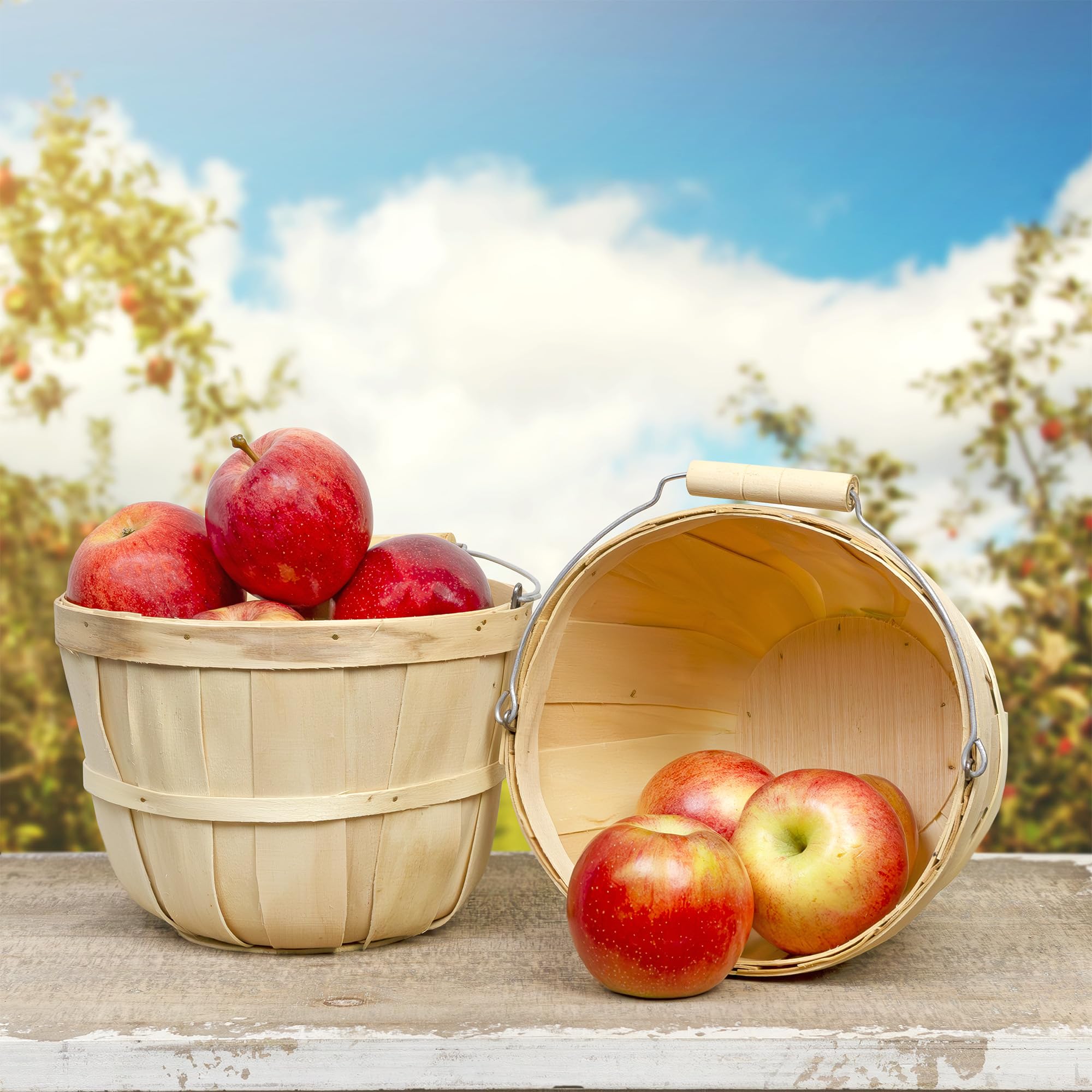 Cornucopia Round Wooden Baskets (2-Pack, Natural); Wood Fruit Buckets with Handle, 4-Quart Capacity; 6.1 Inch Tall by 8 Inch Diameter