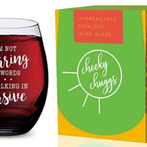 GSM Brands Stemless Wine Glass (Im Not Slurring My Words Im Speaking In Cursive) Made of Unbreakable Tritan Plastic and Dishwasher Safe - 16 ounces