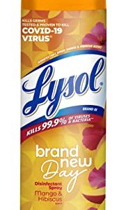 Lysol Disinfectant Spray, Sanitizing and Antibacterial Spray, For Disinfecting and Deodorizing, Mango & Hibiscus Scent, 19 Fl Oz, (Packaging May Vary)